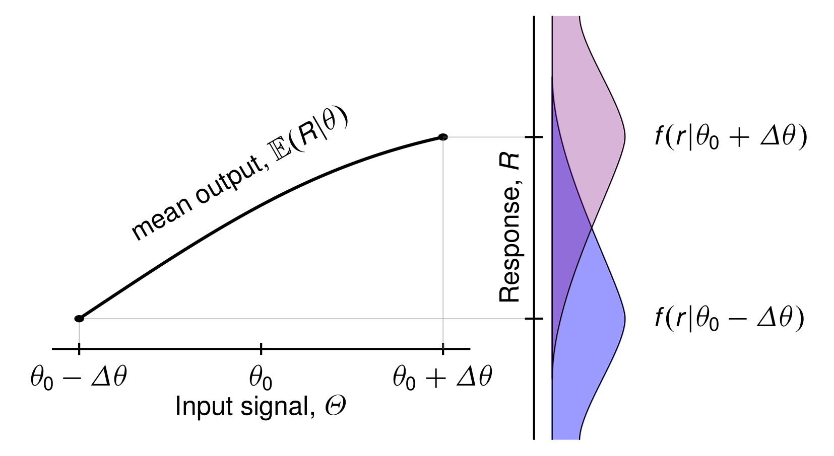 Information capacity in the weak-signal approximation | Lubomir Kostal